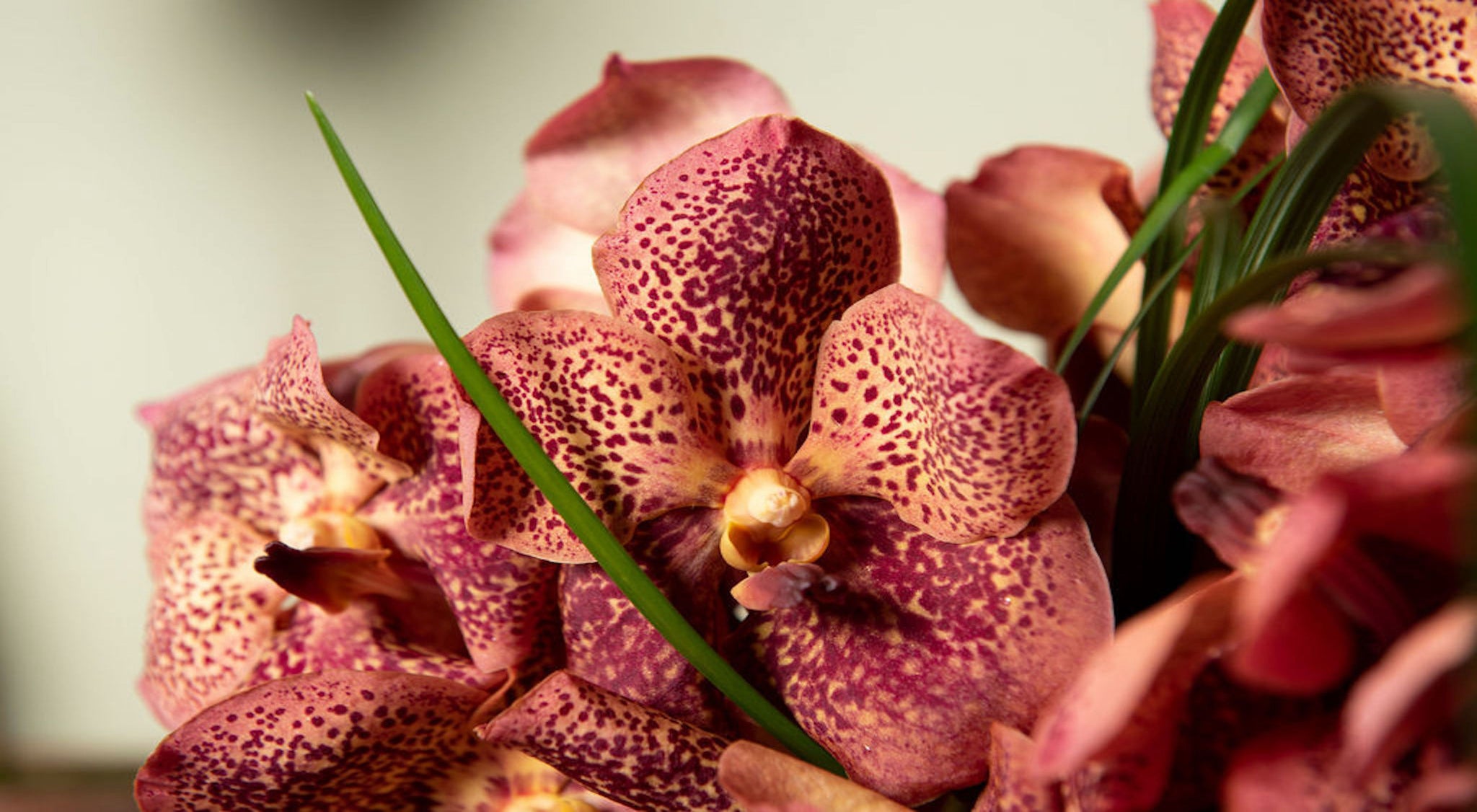 Eros Flowers and Events NYC – Eros Flowers NYC